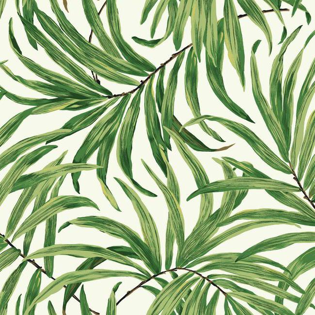 palm leaf pattern wallpaper