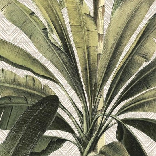 Palmera- Multi Colorway – Chelsea Lane & Company