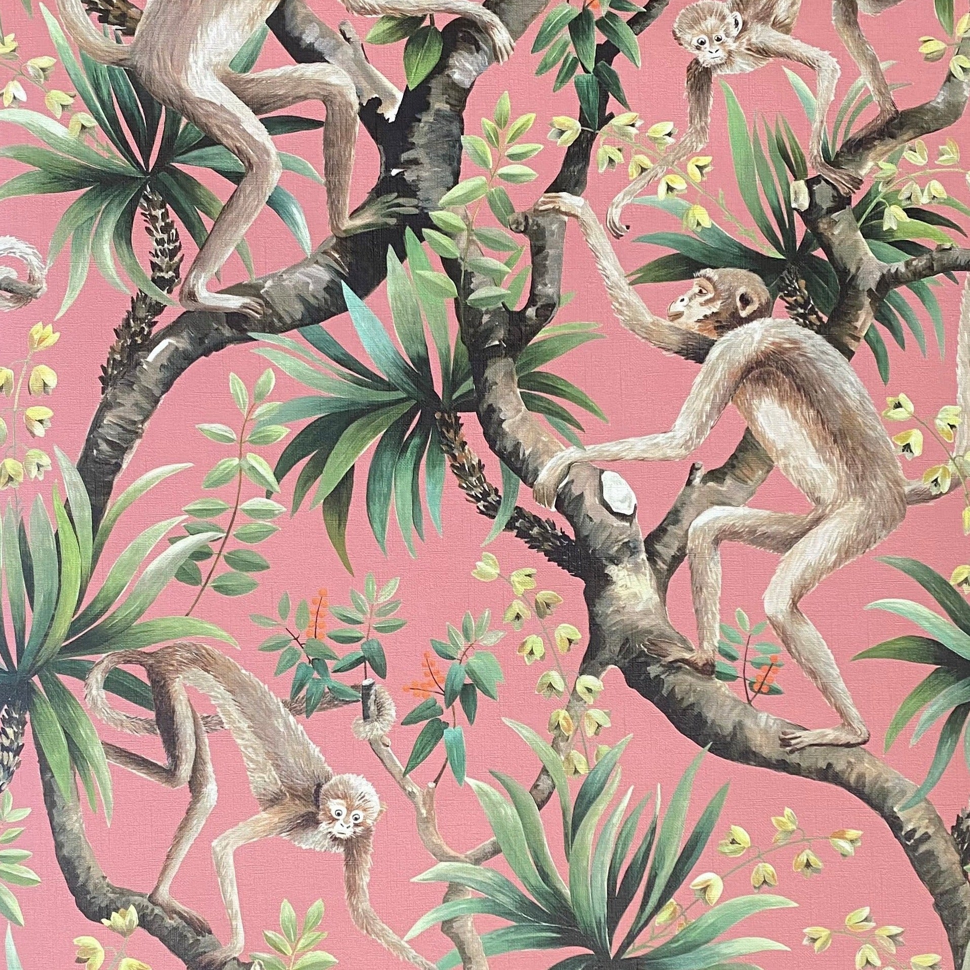 Monkey Mokum Wallpaper in Coral – Chelsea Lane & Company